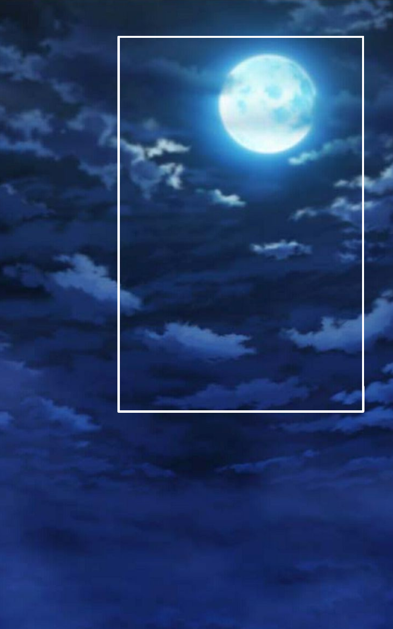 POLY (BL) - Un frenesí de emociones - Gomic